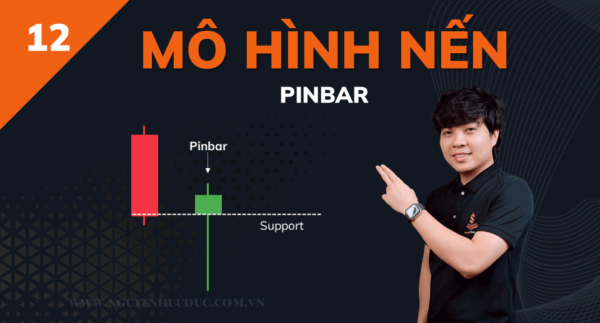 Mô hình nến PinBar Price Action - Nguyễn Hữu Đức