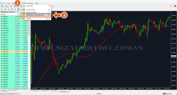 Lập Trình Bot Trade, EA Forex Trên MT4, MT5 Cho Người Mới