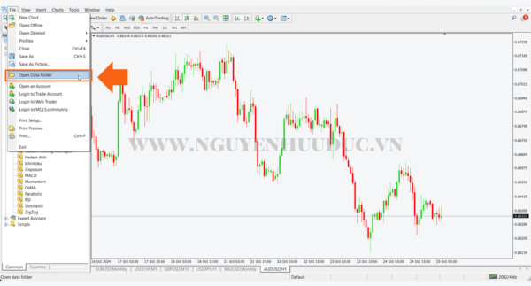 Tổng Hợp Indicators Cảnh Báo Trên MT4-MT5 (Free Download)
